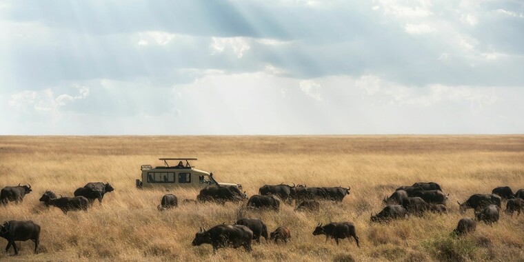 Join the My Best Shot Photo Contest by Elewana Collection and win ...